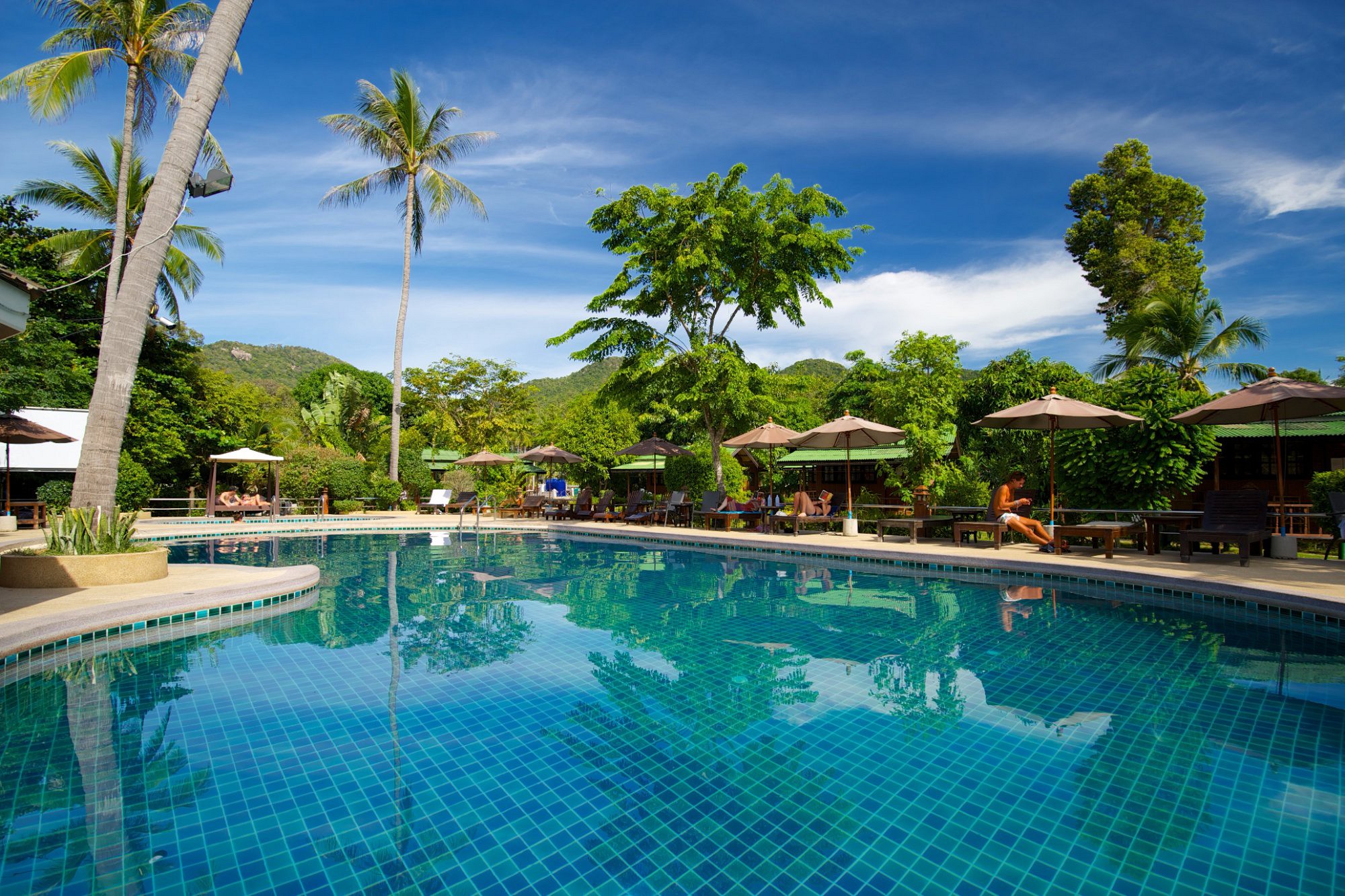 Lotus Paradise Resort | Sairee Beach | Koh Tao